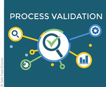 Advanced Process Validation | My Website Valor Egypt
